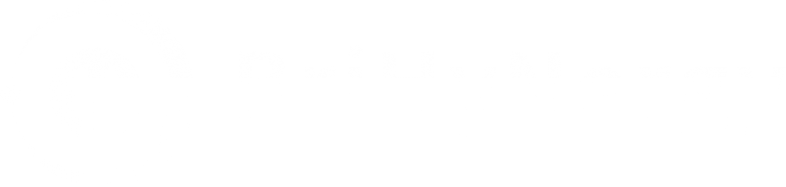 BriHyNergy